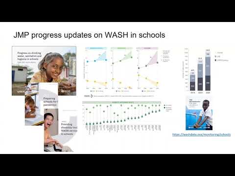 Chat, Listen, Exchange - Webinar on Disability Inclusion in WinS ...